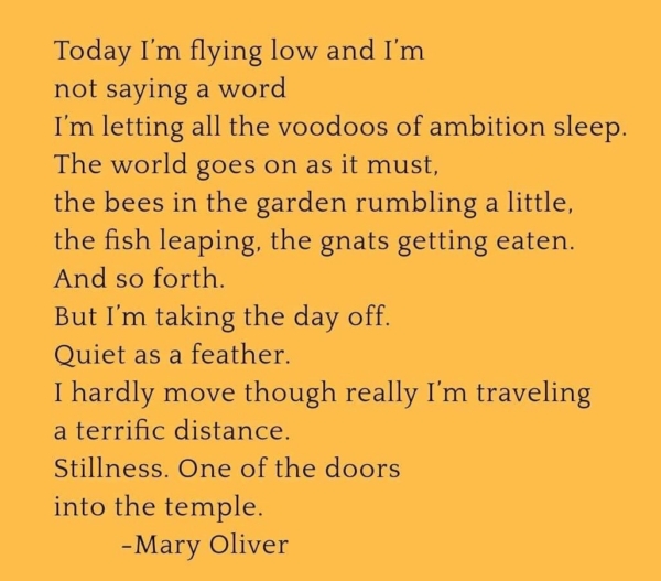 Taking The Day Off - Sue To You